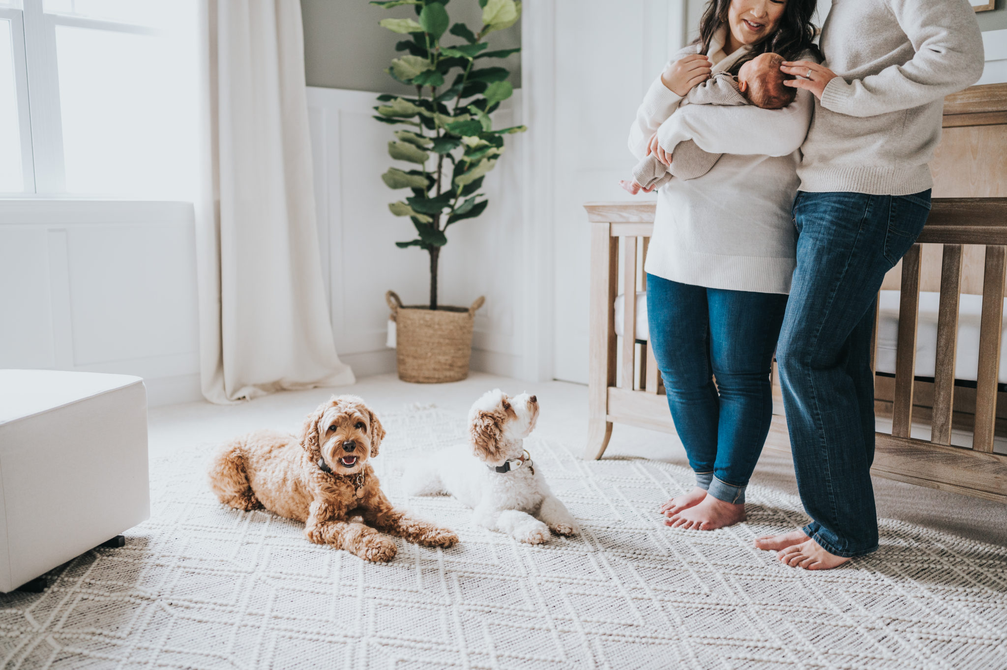 Newborn Photography with Labradoodles in Apex, NC - Worth Capturing ...