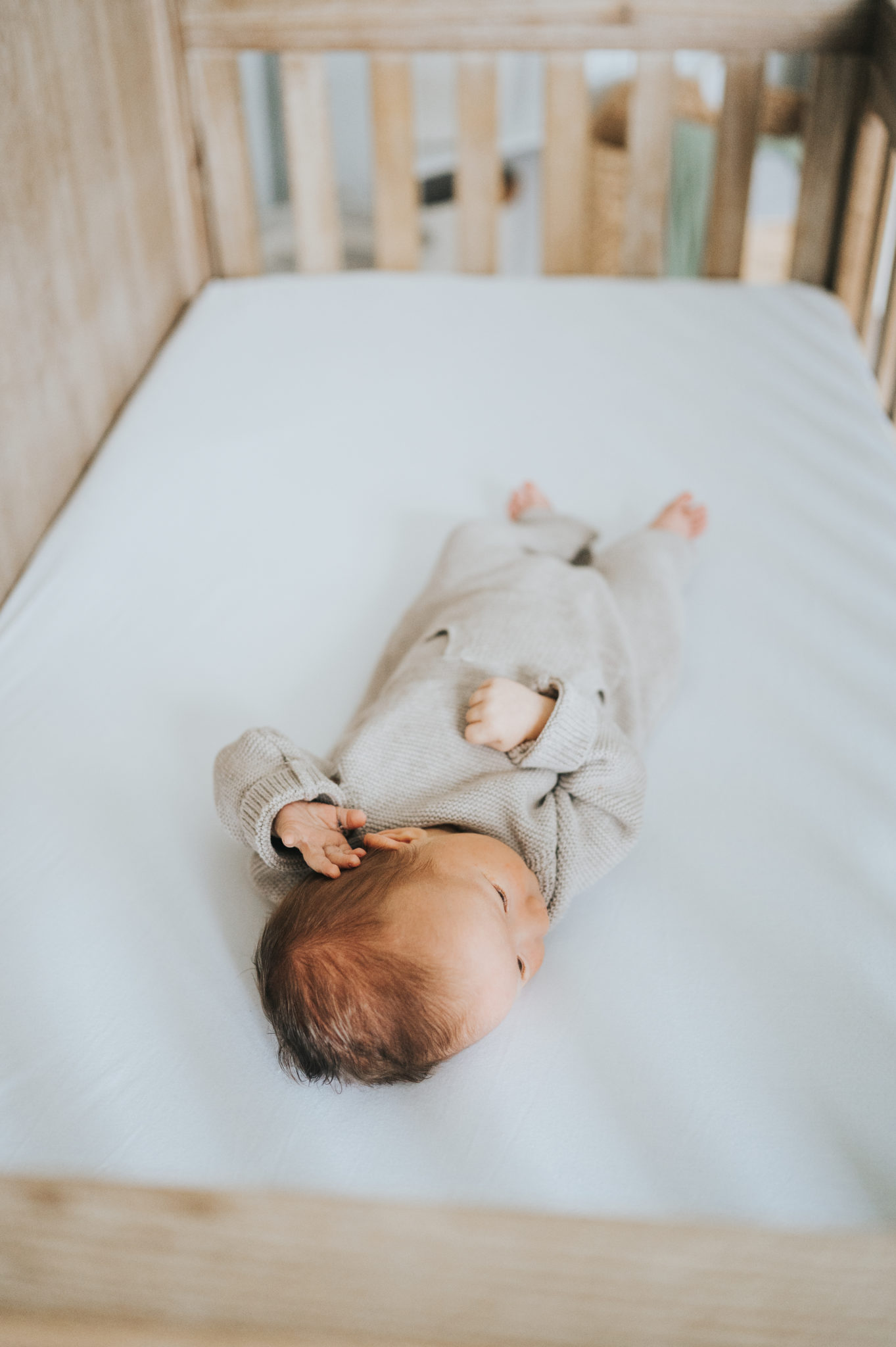 Newborn Photography with Labradoodles in Apex, NC - Worth Capturing ...