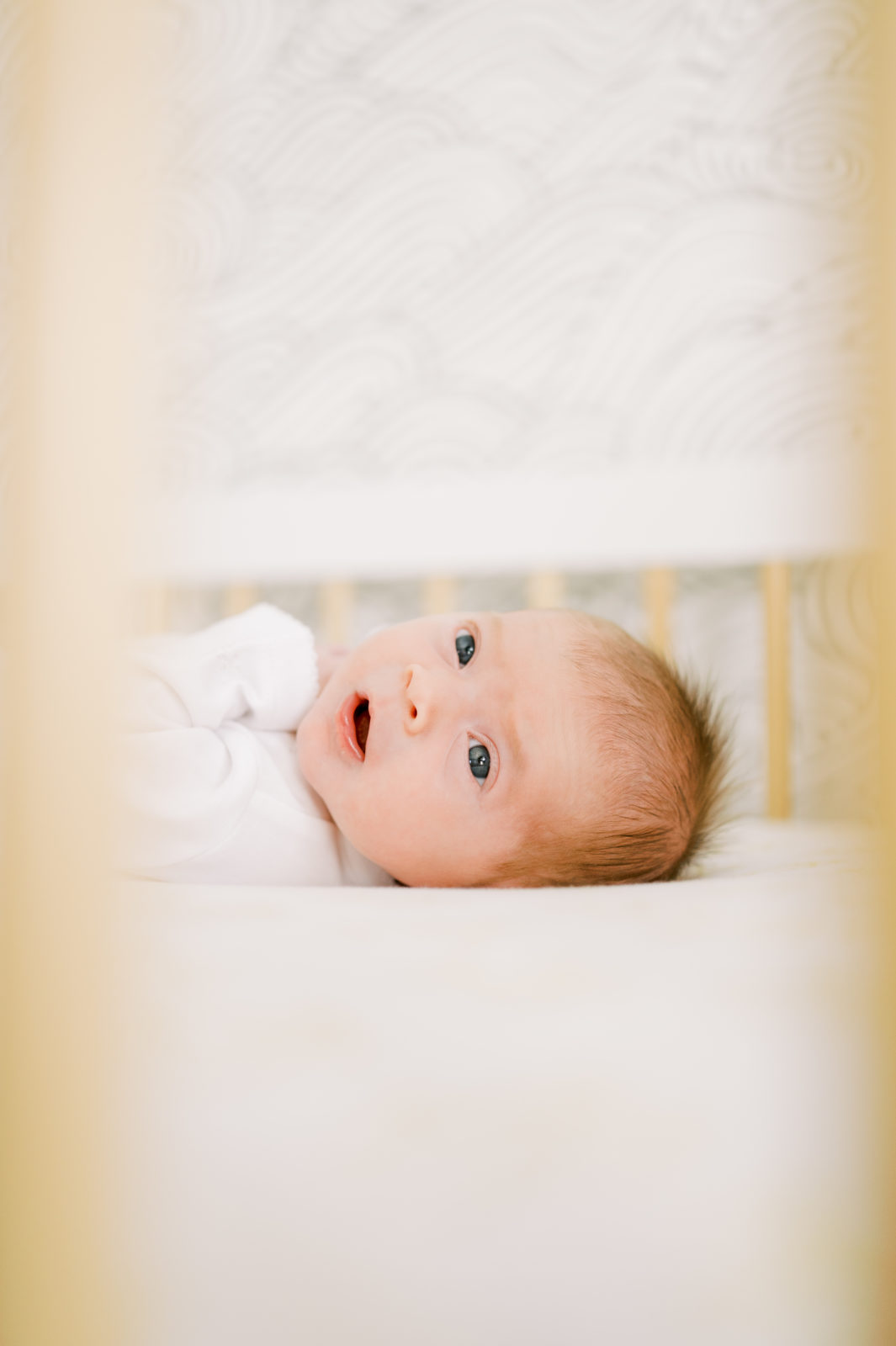 Newborn Photography Raleigh NC | Welcoming Baby Elliot - Worth ...