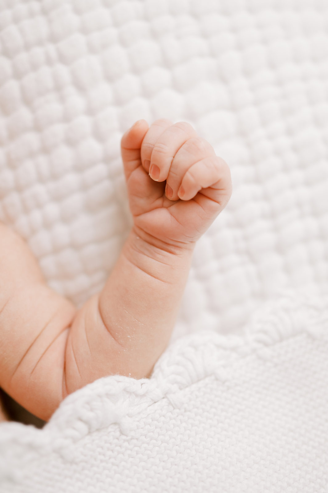 Newborn Photography Raleigh NC | Welcoming Baby Elliot - Worth ...