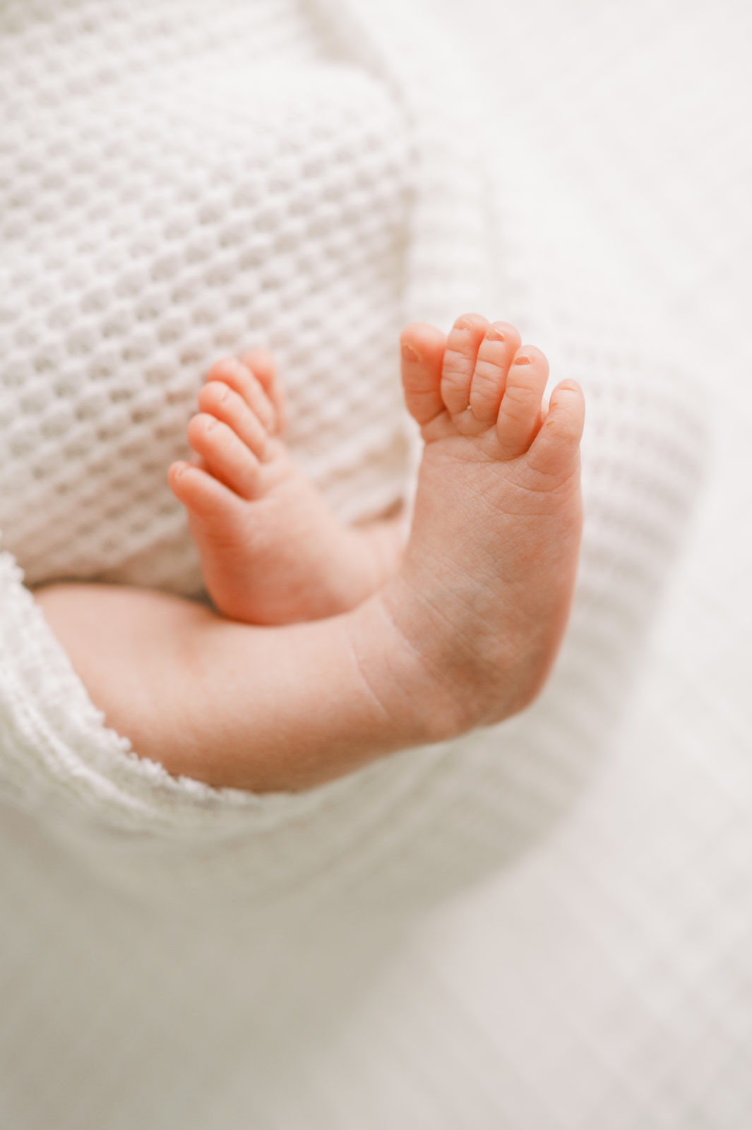 Newborn Photography Raleigh NC | Welcoming Baby Elliot - Worth ...